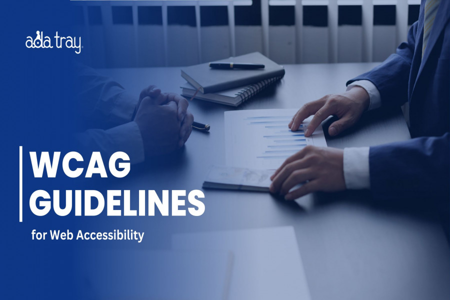 Navigating WCAG Guidelines for Web Accessibility